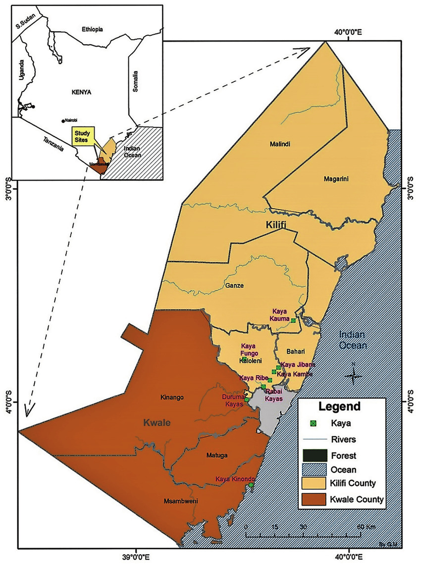 Kaya Forests of Kenya: Where Mijikenda Heritage Still Breathes - The ...
