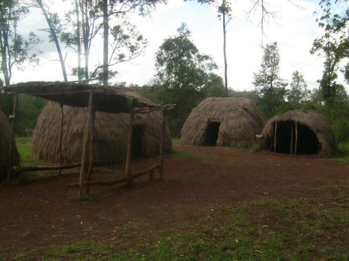 Kaya Forests of Kenya: Where Mijikenda Heritage Still Breathes - The ...