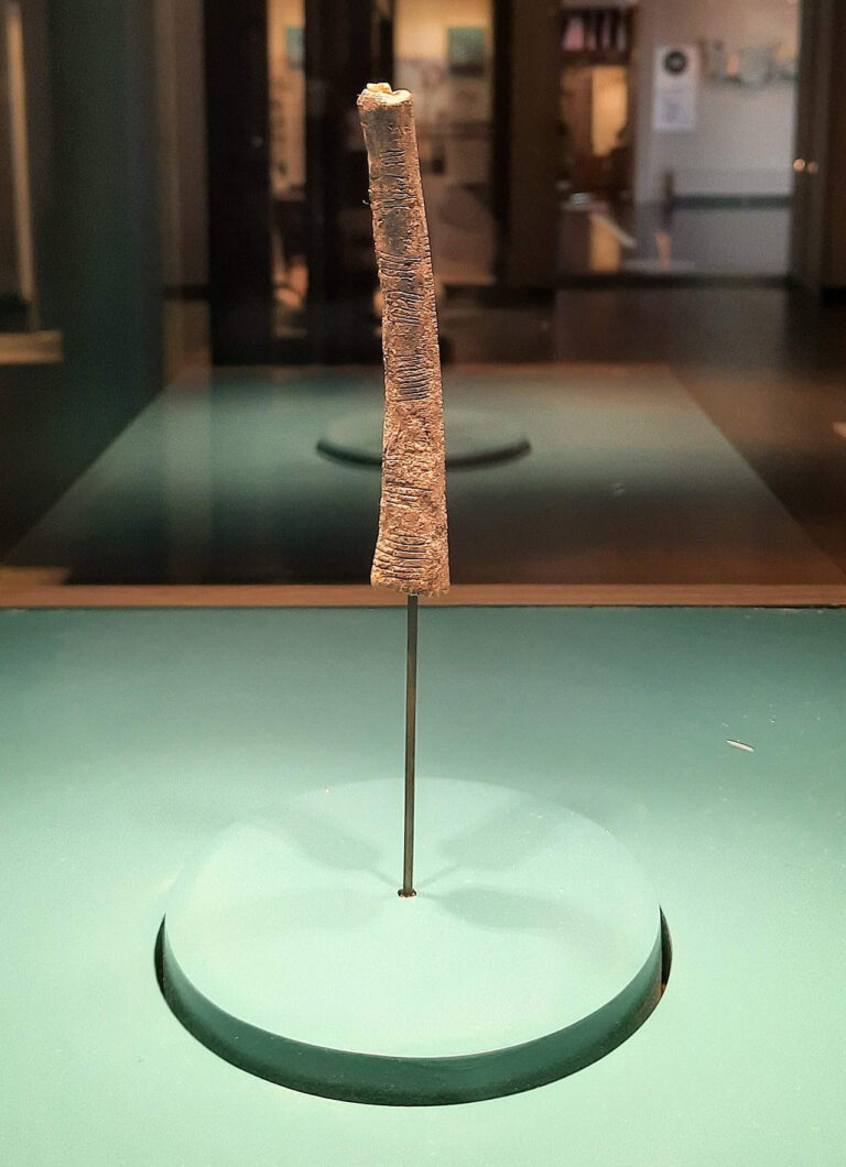 World’s First Calculator? The Ancient Ishango Bone from Central Africa ...